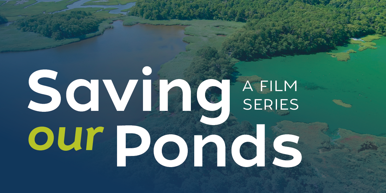 Saving Our Ponds Film Series - CyanoHAB-CC